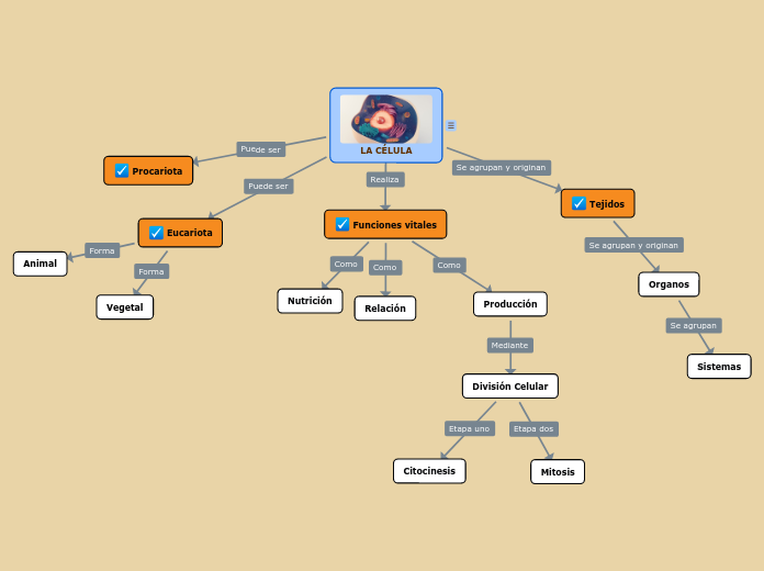 LA CÉLULA - Mind Map